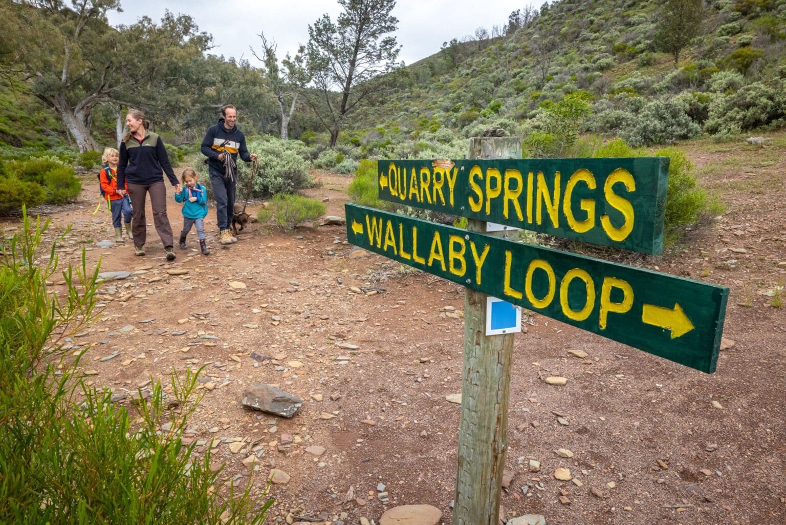 Explore - Bendleby Ranges