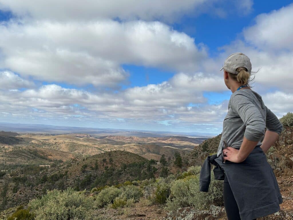 Bushwalking - Bendleby Ranges